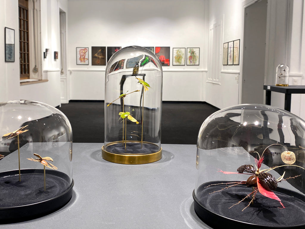 A Heartfelt Thank You for the Recognition: Tribune de Genève’s Coverag ...